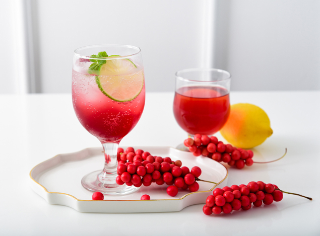 Processed Food / Korean Yuja & Omija Ade to Forget the Heat Wave 상세보기 ...