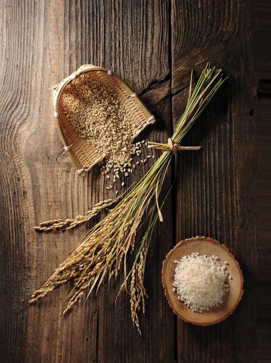 Cover Story / Infinite Possibility of Rice, K-Processed Rice Products ...