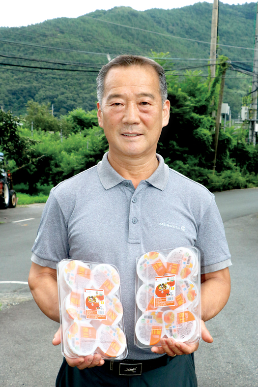 New Item / Korean Traditional Fruit Snack, Ice Hongsi 상세보기|Newsletter ...