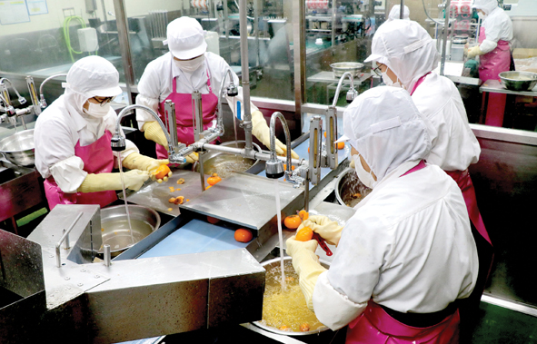 New Item / Korean Traditional Fruit Snack, Ice Hongsi 상세보기|Newsletter ...