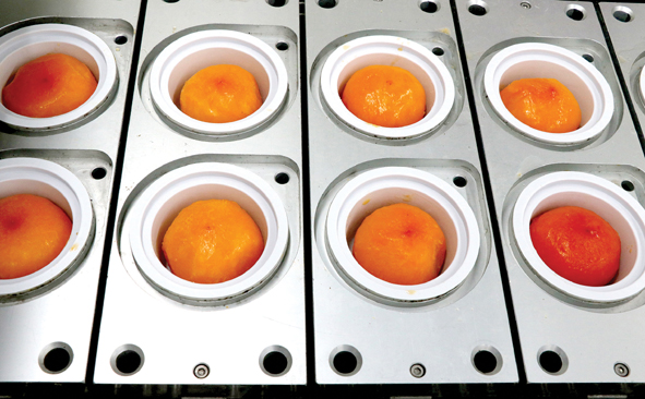 New Item / Korean Traditional Fruit Snack, Ice Hongsi 상세보기|Newsletter ...