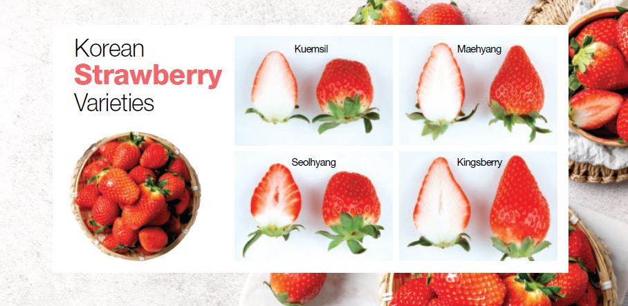 Cover Story / Strawberry, Korea’s Most Successful Export Agricultural ...
