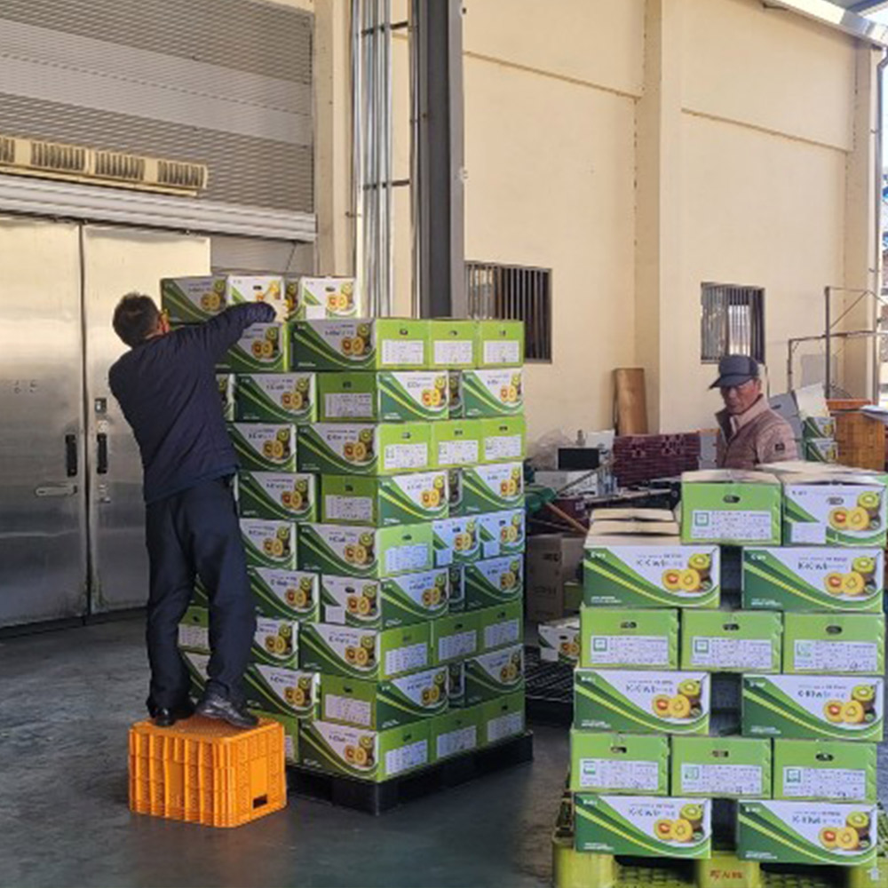 Kiwi, A Specialty Crop From Yangbo-Myeon, Hadong County, South ...