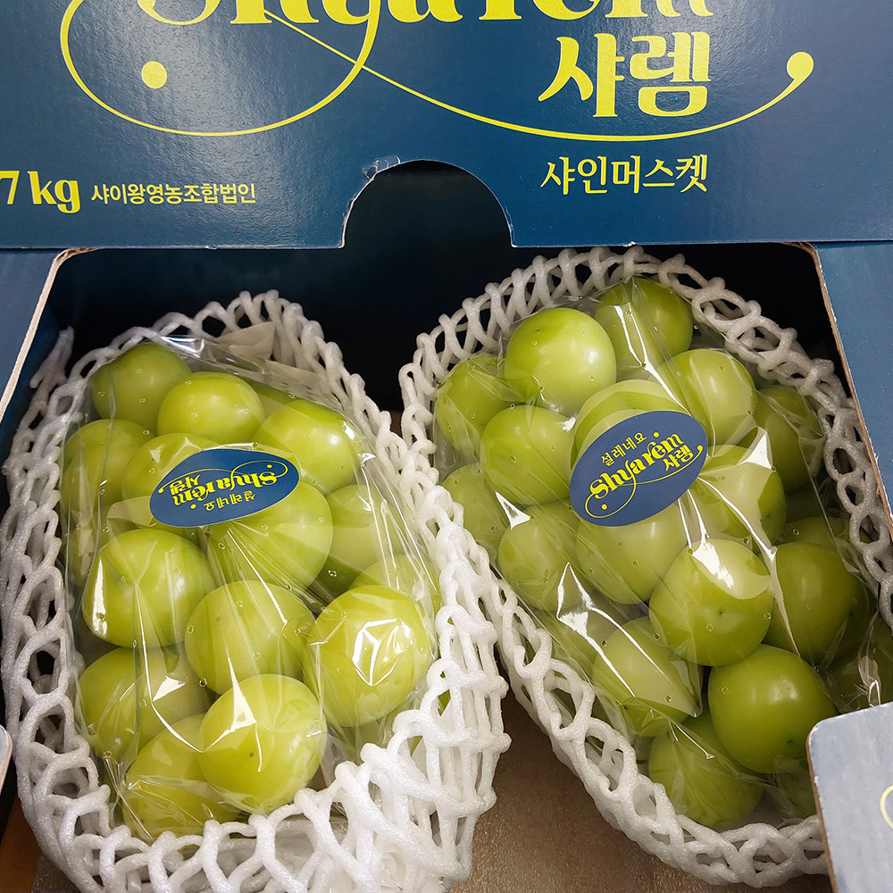 Korean Shine Muscat Grapes Expand Exports to the U.S. and Southeast ...