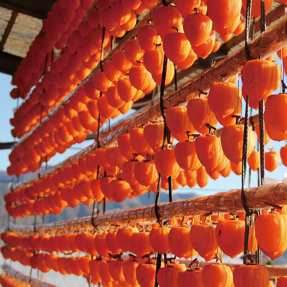 Taste and Health in Hongshi Smoothie 상세보기|뉴스레터 | K-FOODTRADE