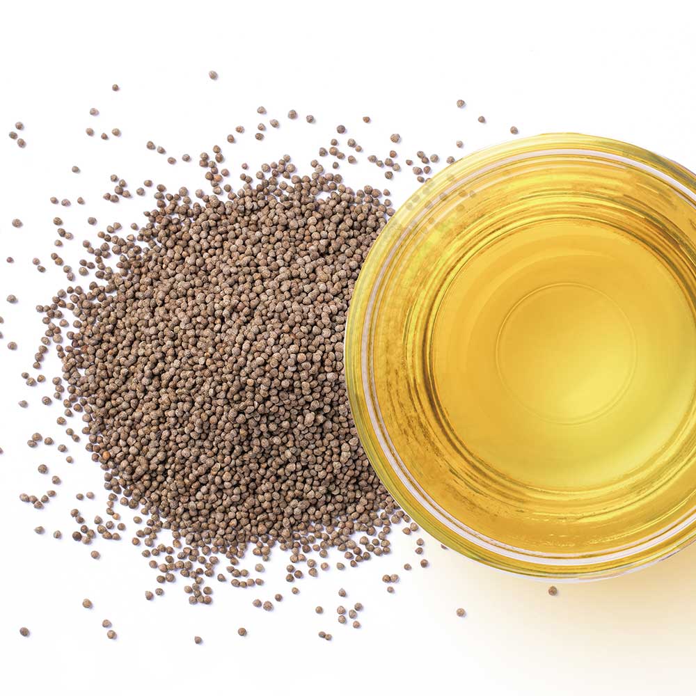 Komega, a Company That Brings Korean Perilla Oil to the World 상세보기 ...