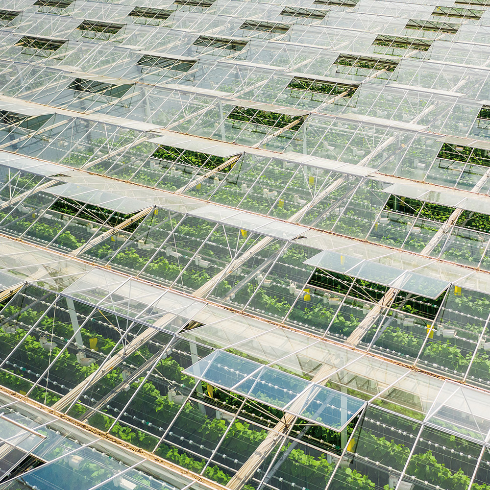 A Korean Smart Farm Leading Agricultural Innovation 상세보기|Newsletter | K ...