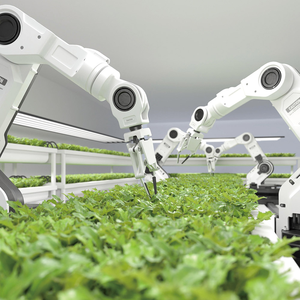 A Korean Smart Farm Leading Agricultural Innovation 상세보기|Newsletter | K ...